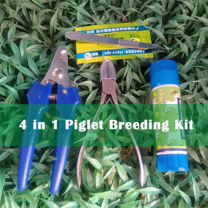 4Pcs Pig Acceessories Pig marker crayon+Piglet teeth cutter clipper ...