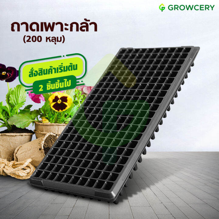 [G] ถาดเพาะกล้า ถาดหลุม ถาดเพาะ จำนวน 200 หลุม (หนา 1 มม.) **สั่งขั้นต่ำ 2 ชิ้น** จำหน่ายโดย ...