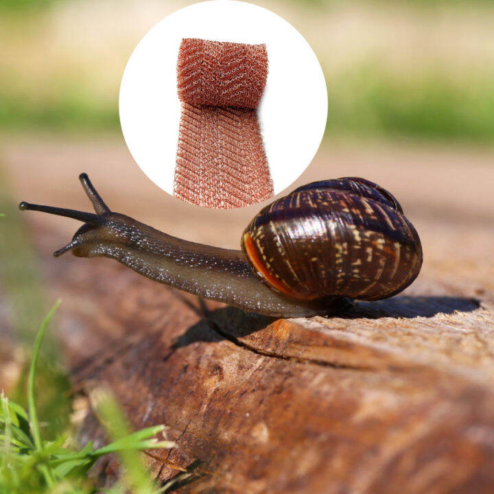 Signal Shielding Mesh Anti-snail Copper Wire Mesh Braided Copper Mesh ...