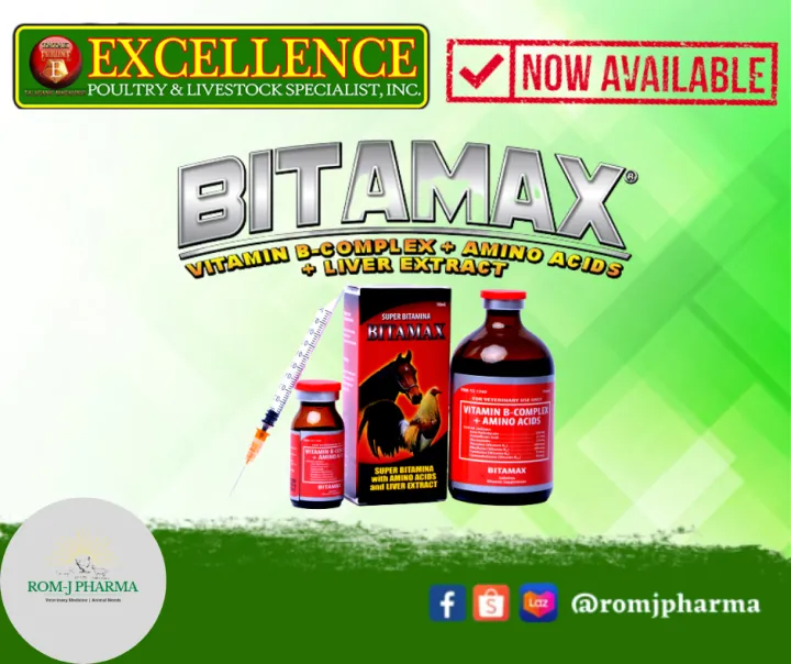 EXCELLENCE | BITAMAX 10ML | ROM-J PHARMA | Lazada PH