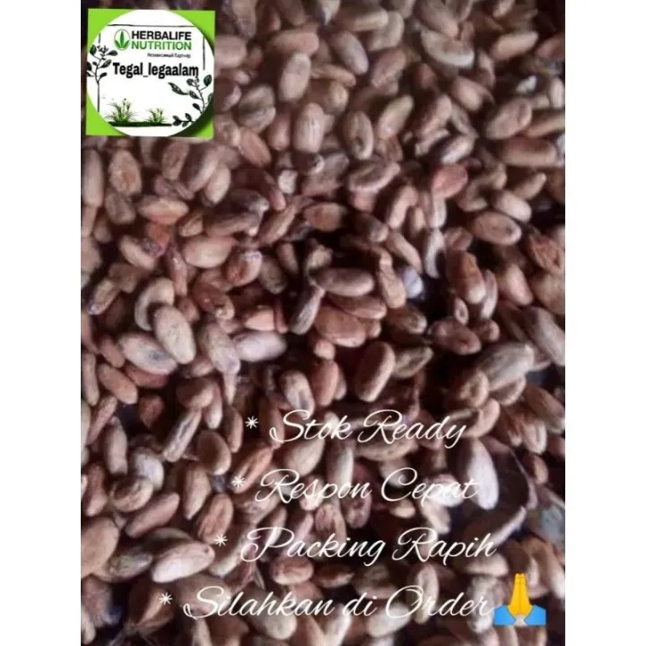 Biji Buah Coklat/Kakao Kering 1kg | Lazada Indonesia