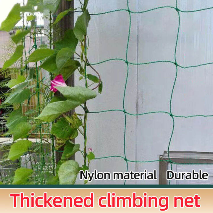 Plant Trellis Durable Nylon Plant Climbing Trellis Gardening Trellis ...