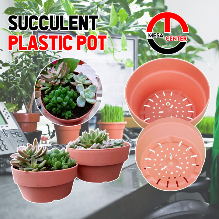 Plastic Terracotta Succulent Pot Shallow Dish Plastic Round Pot 3 size ...