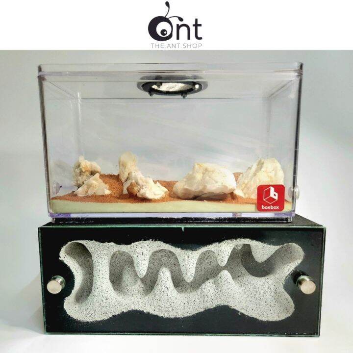 Handcrafted The Jumbo Crystal Cave Formicarium - Ant Farm Ant Cages Ant Nest Ant Formicarium The ...