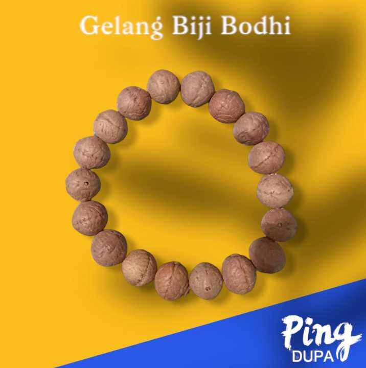 Gelang Bodhi Mala Asli Biji Pohon Bodhisatva Nepal | Lazada Indonesia