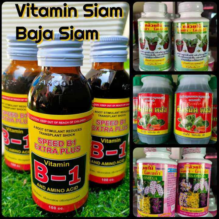 Vitamin Siam | Baja Siam | B1 Speed Extra Plus Penggalak Akar | Baja Air | Baja Keladi | Lazada