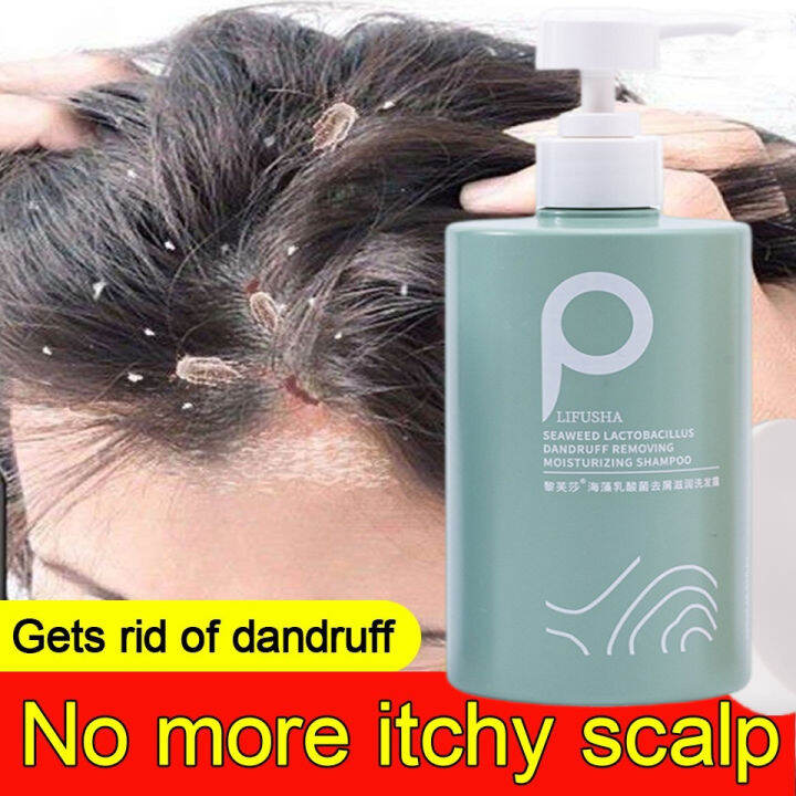 500ml SEA SALT Sampo Anti Ketombe Dan Gatal Sampo Garam Laut, Anti Gatal Anti Ketombe ...