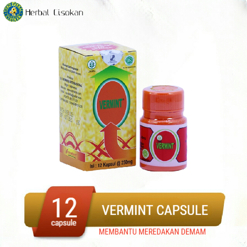 Vermint Kapsul Cacing Kemasan isi 12 Kapsul Obat Demam Tipes | Lazada ...