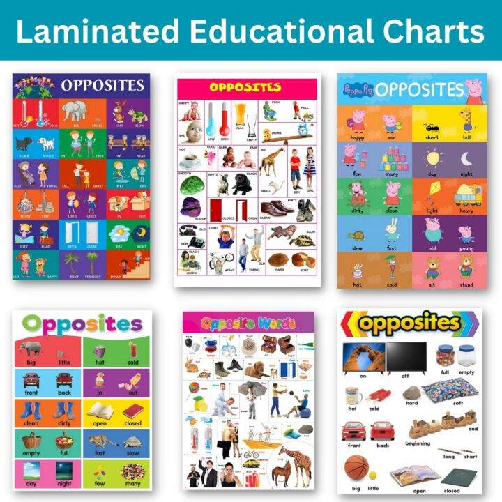 Laminated Opposites Charts for Kids and Learners, Laminated Educational ...