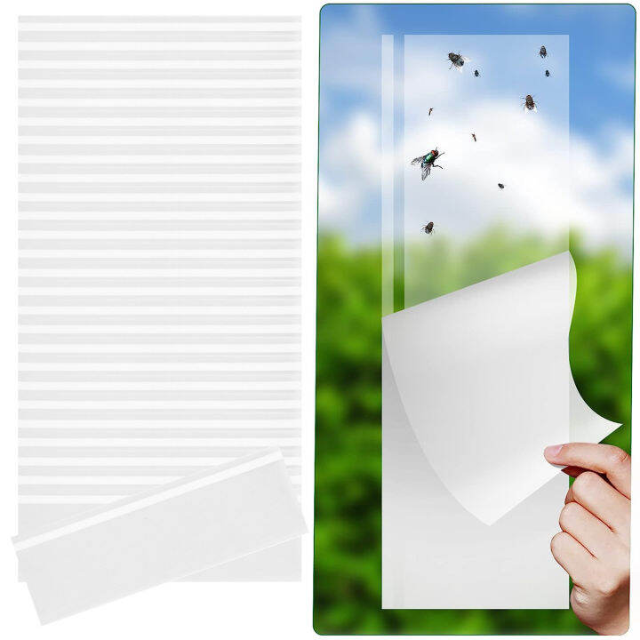 Transparent Fly Stickers Window Fly Traps Effective Fruit Fly Traps ...