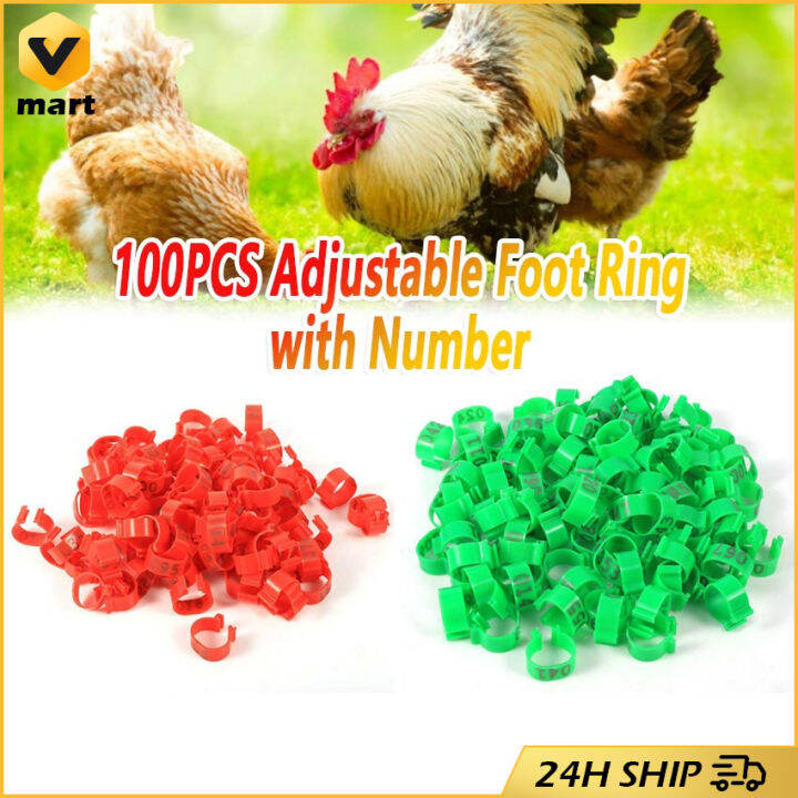 100Pcs Chicken Foot Rings Adjustable Poultry Leg Digital Label Buckle ...