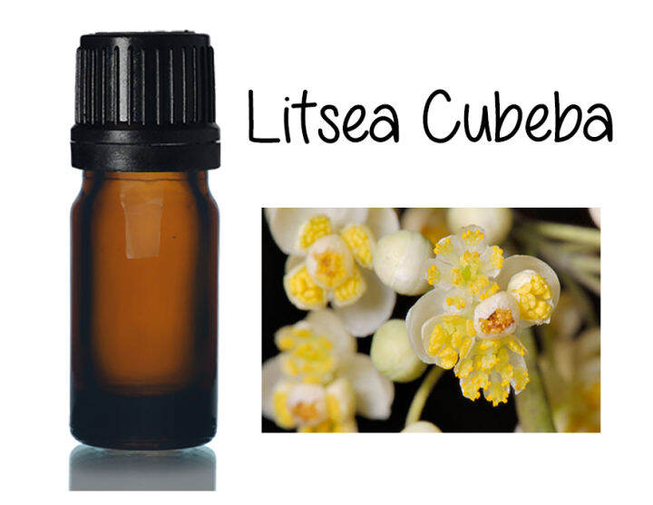 Pure Litsea Cubeba essential oil 5ml | Lazada PH