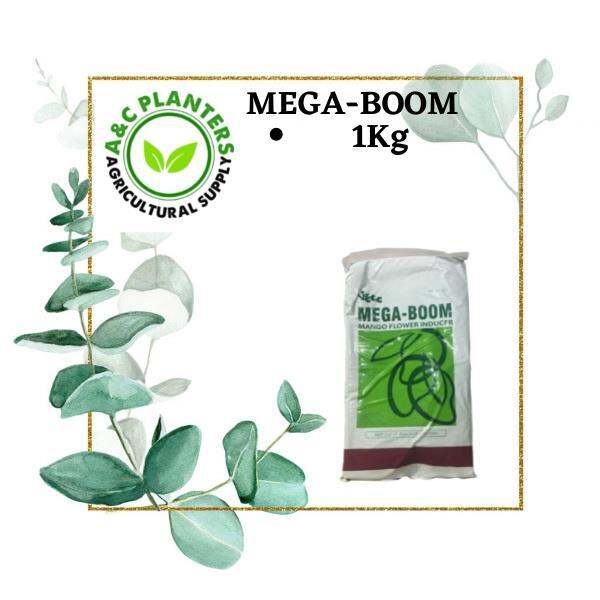 Mega-Boom Mango Flower Inducer 1kg | Lazada PH