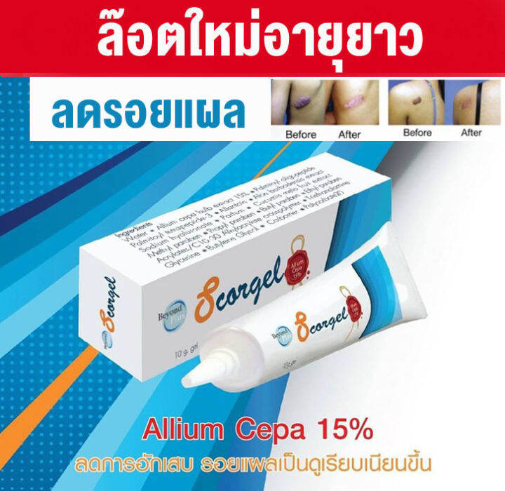 📌จัดส่งไวที่สุด🚚 MaxxLife Beyond Plus Scargel (10g) ช่วยให้แผลเป็นนุ่ม ...
