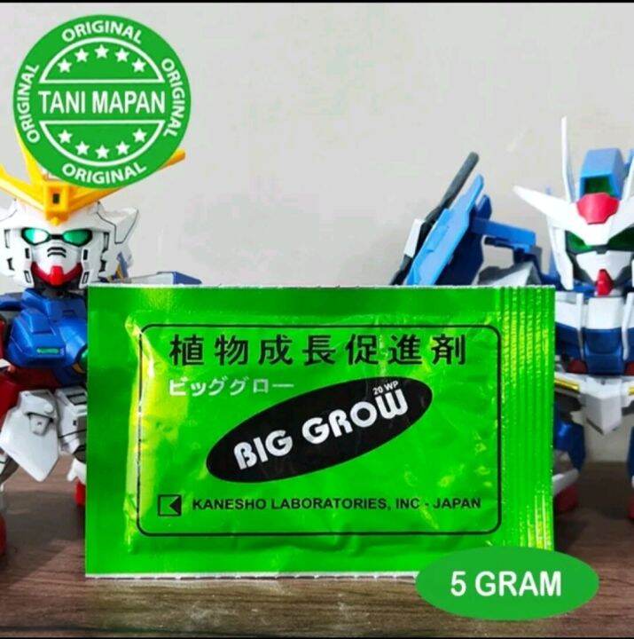 BIG GROW - 5gram (Gibberelin Acid) ZPT(pengatur tumbuh) | Lazada Indonesia