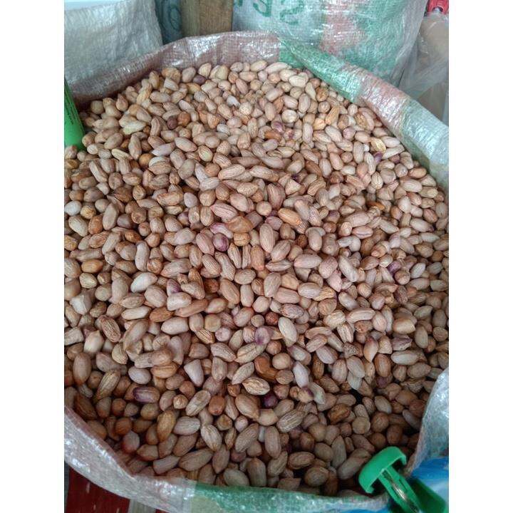 Hilaw na Mani Raw Peanuts 1kilo per pack | Lazada PH