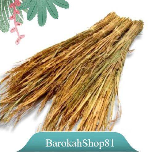 MERANG JERAMI/MERANG DARI POHON PADI/JERAMI PADI 1KG | Lazada Indonesia