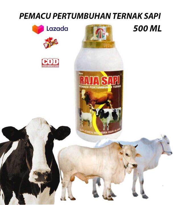 Obat Vitamin Sapi RAJA SAPI 500 Ml Penggemuk Pemacu Pertumbuhan Ternak ...