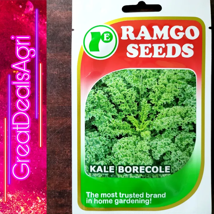 GREEN REFLEX OPV KALE BORECOLE SEEDS (75 SEEDS) RAMGO SEEDS | Lazada PH