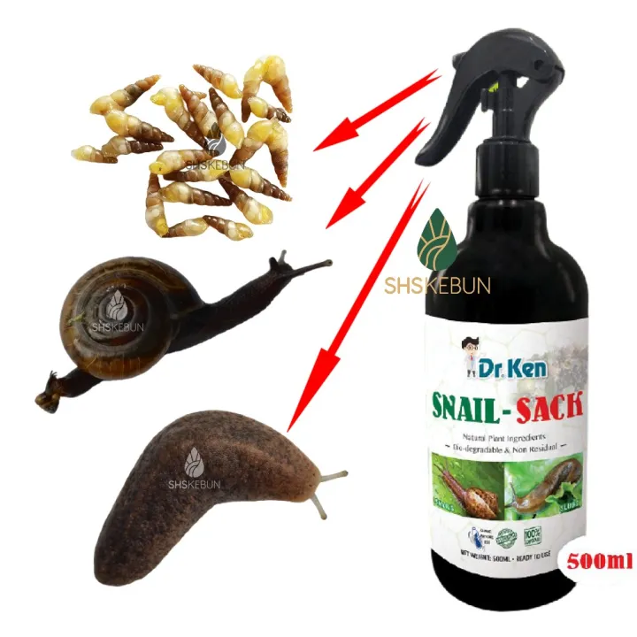 Dr Ken Snail Sack Racun Siput Babi Lintah Bulan Snail Killer 蝸牛药 ...