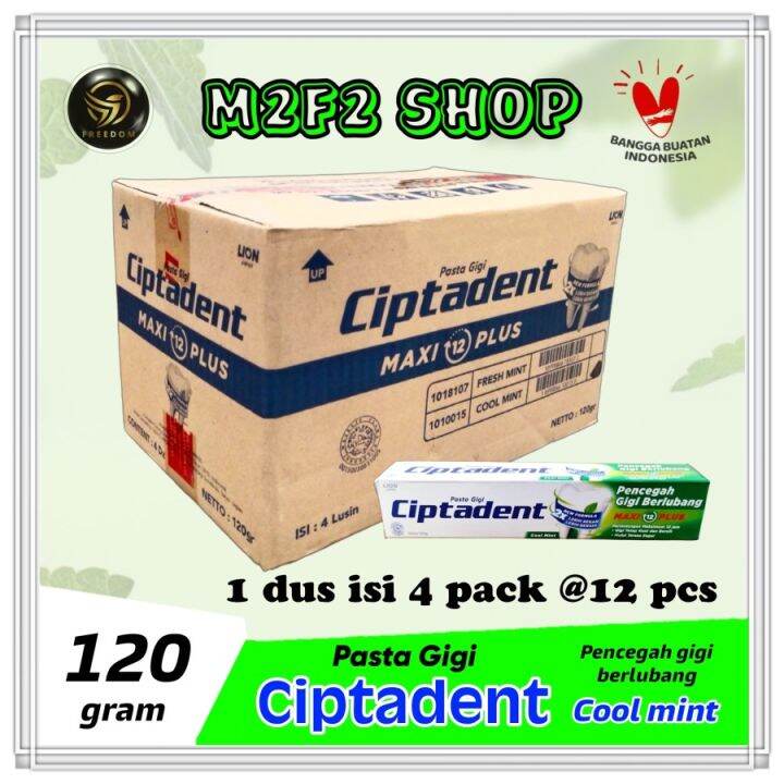 Pasta Gigi Ciptadent Maxi 12 Plus Cool Mint - 120 gr (Kemasan Karton ...