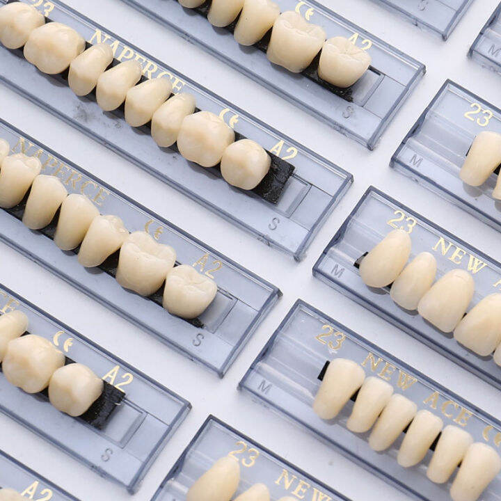 nidengba 168PCS/6Sets Dental Synthetic Polymer Teeth Resin Denture ...