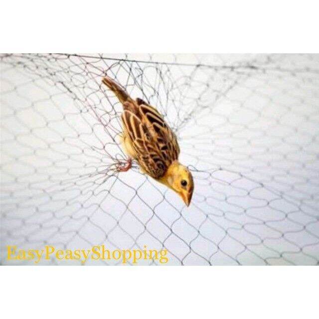 Malaysia Original Stock Black Bird Mesh Netting / Jaring Burung Hitam ...