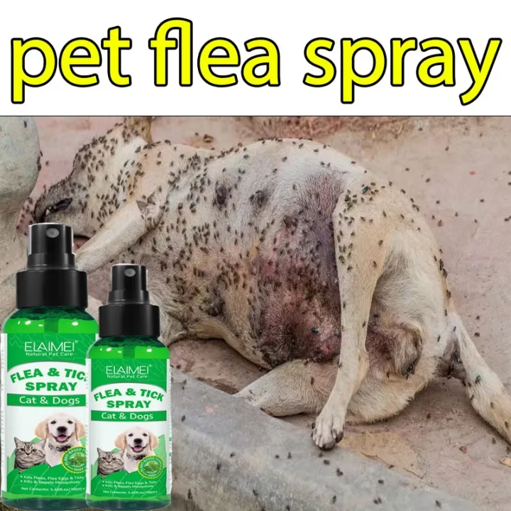Authentic Effective tick and flea killer for dogs fleas and ticks ...