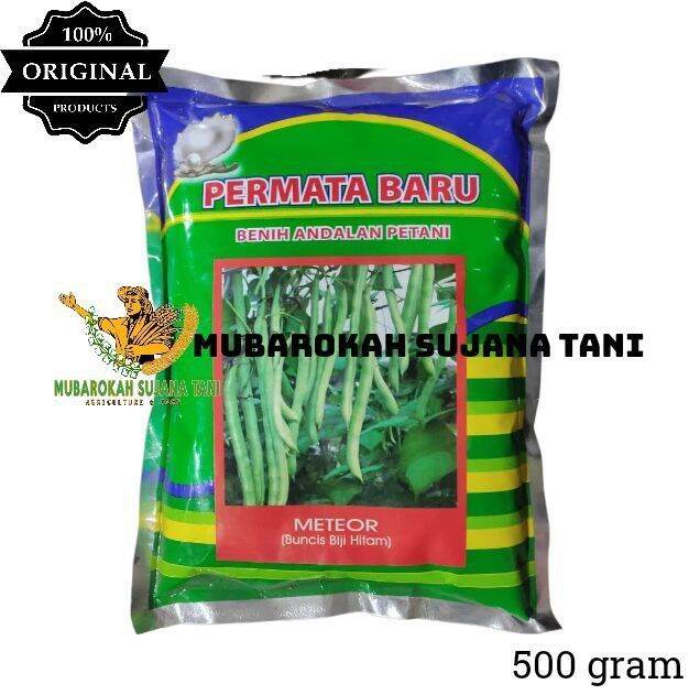benih bibit buncis biji hitam METEOR 500gr kemasan pabrik PERMATA BARU ...