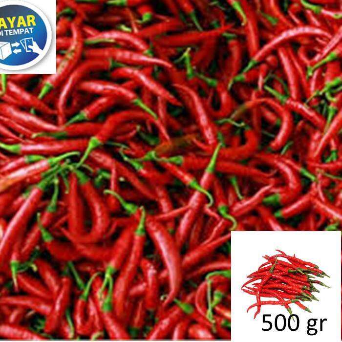 cabe merah keriting panjang berat 500 gr | Lazada Indonesia