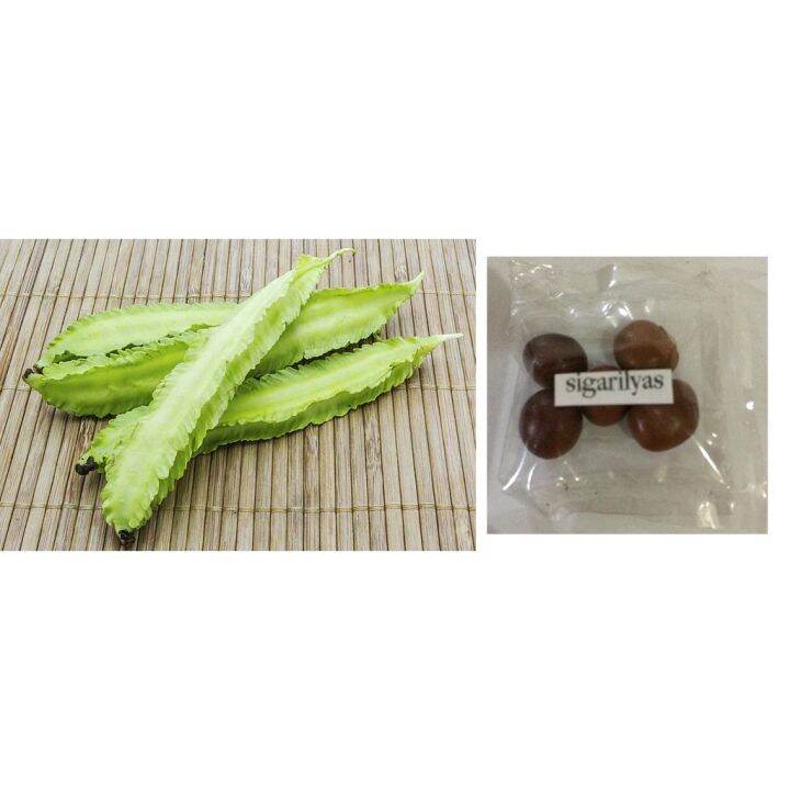 sigarilyas winged beans seeds | Lazada PH