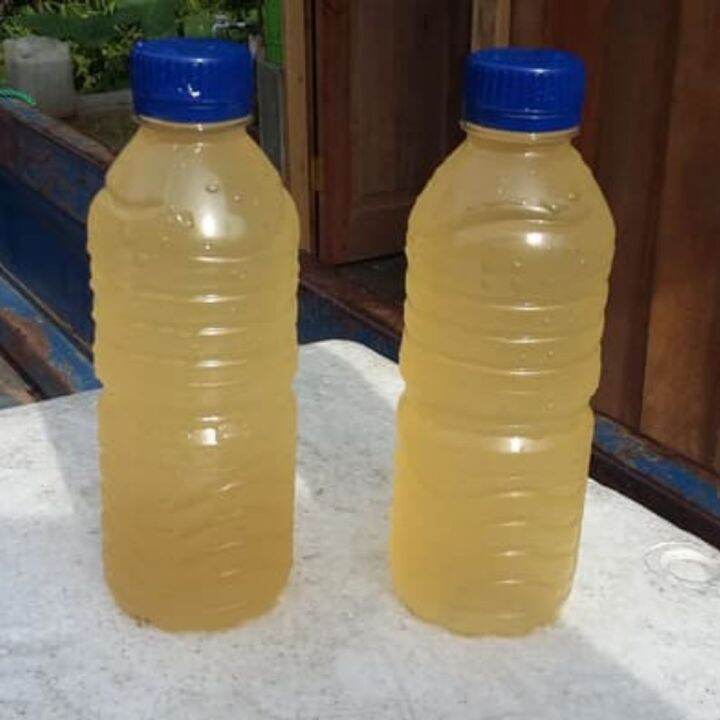 Baru jual air manis air nira atau air pohon aren kemasan/ 250 ml ... Baru jual air manis air nira atau air pohon aren kemasan/ 250 ml ...