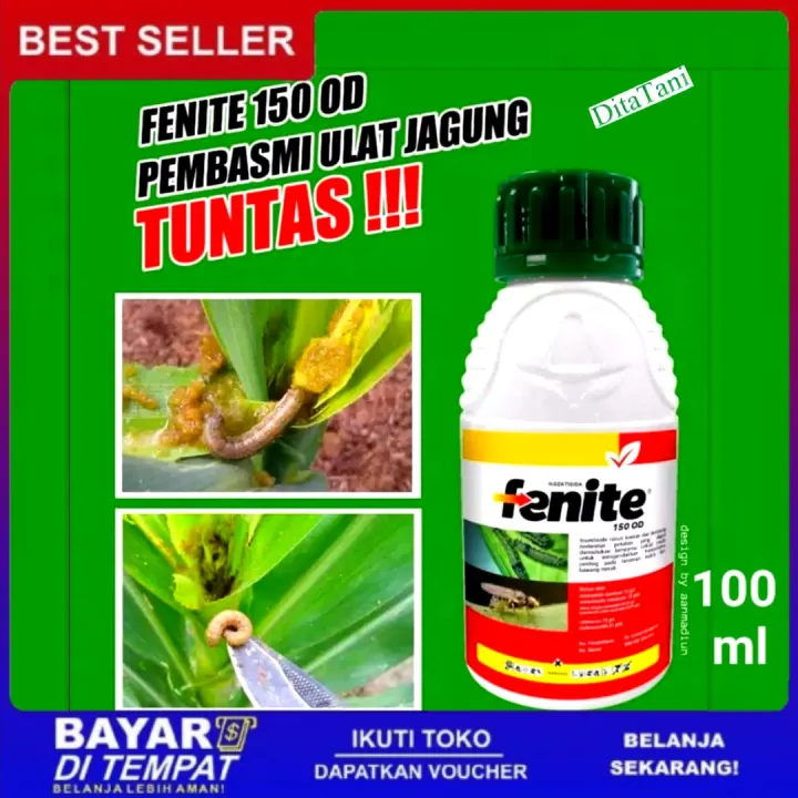 Insektisida Ulat Grayak FAW Farm Army Worm Jagung FENITE 100ML | Lazada ...