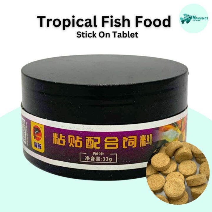 Porpoise Stick On Fish Food Tablet for Cichlids and Small Tropical Fish ...