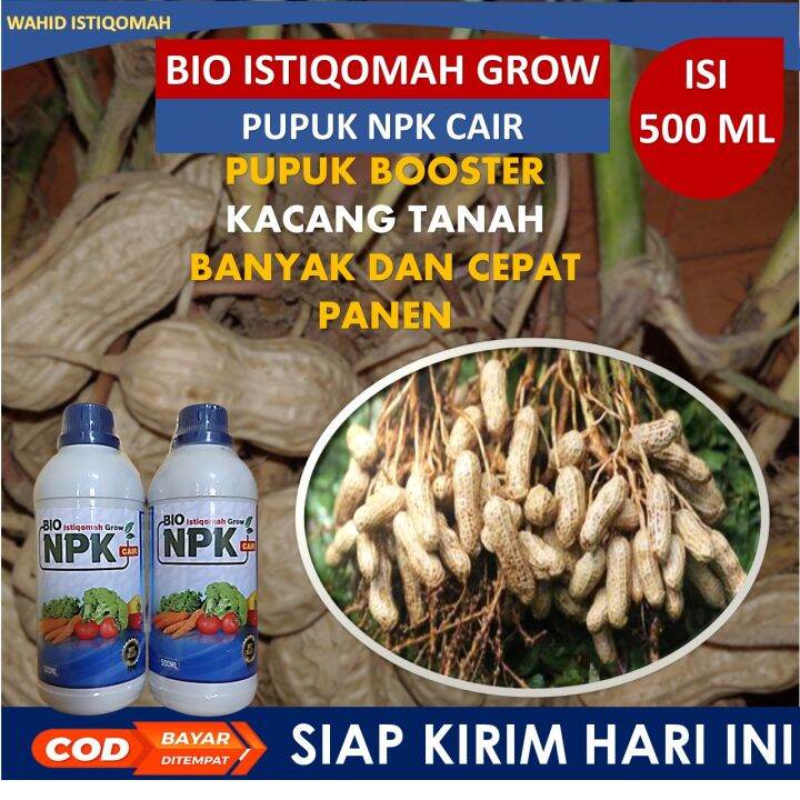 siap kirim hari ini bio istiqomah grow pupuk khusus kacang tanah pupuk pelebat buah kacang tanah ...