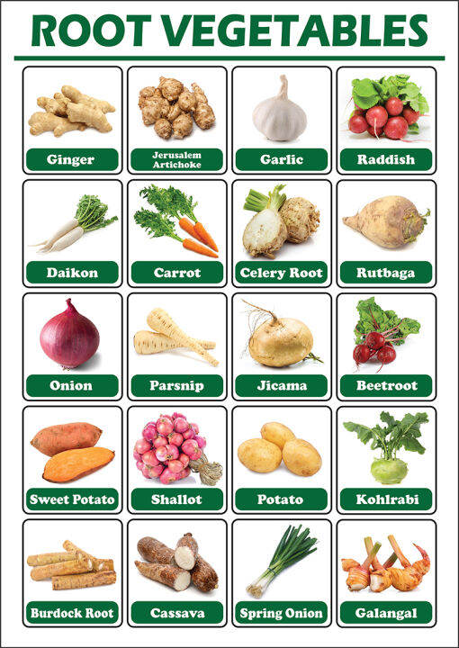 Root Crops Real Pics Educational Chart - A4 Size Poster - Waterproof ...