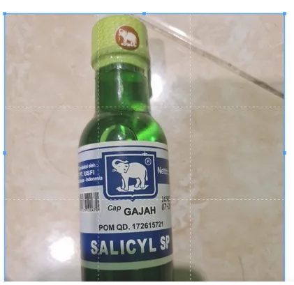 Salycil SP cap gajah (obat panu,kadas,kudis,lurap) | Lazada Indonesia