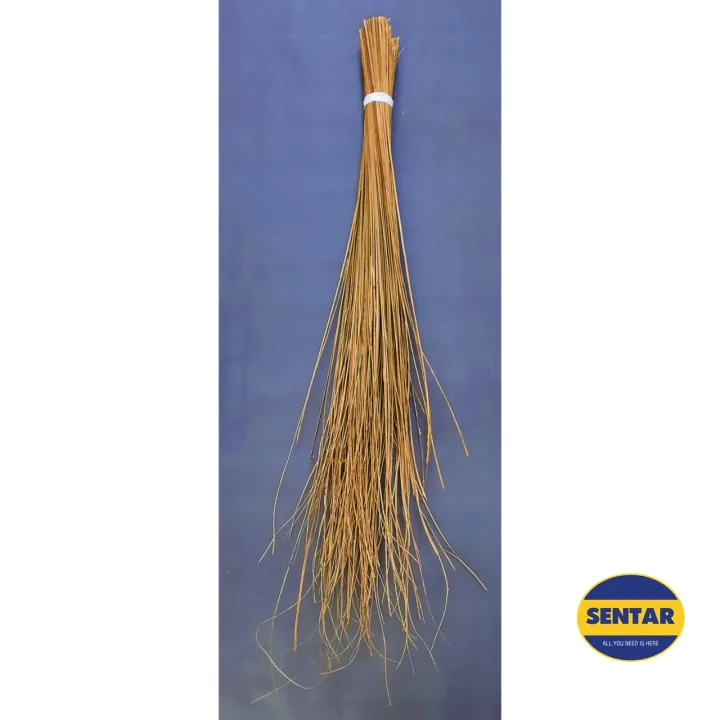 [100% Original] Rayaco High Quality Penyapu Lidi/Broom (400#) | Lazada