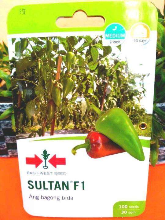 Sultan F1 Pepper East-West Seed (100 Seeds) | Lazada PH