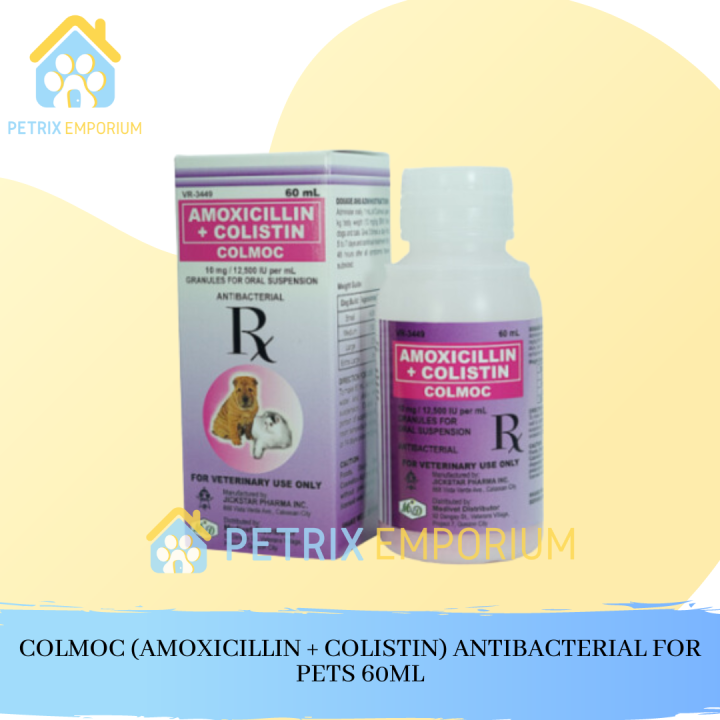 Colmoc (Amoxicillin + Colistin) Antibacterial for Pets 60ML | Lazada PH