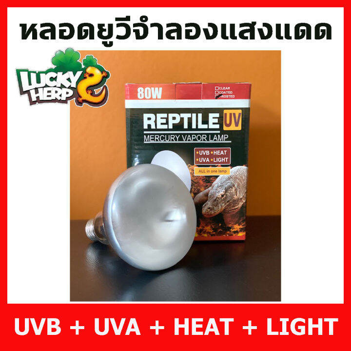 Lucky Herp Reptile UVA UVB Heat Lamp หลอดรวม UVA+UVB+ความร้อนและแสงสว่าง มีครบทุกอย่างในหลอด ...