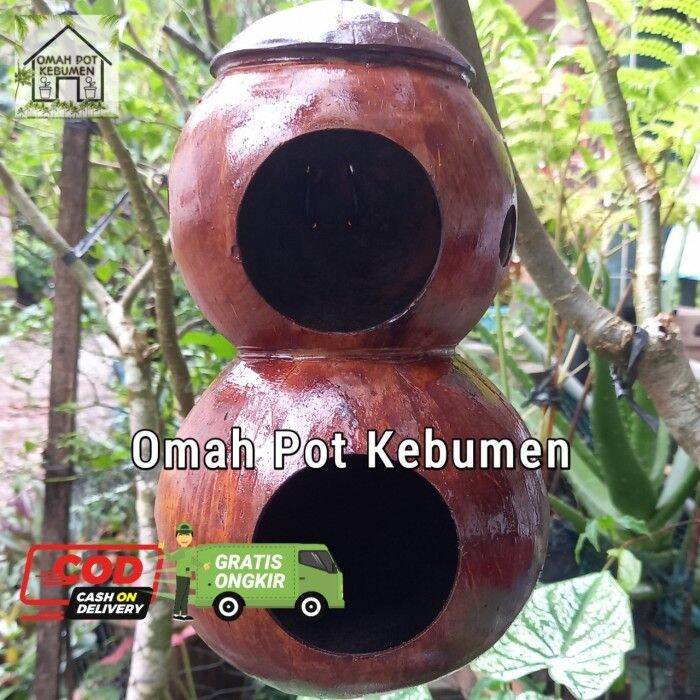GLODOK BURUNG GANTUNG BATOK KELAPA TUMPUK TINGKAT UNIK | Lazada Indonesia