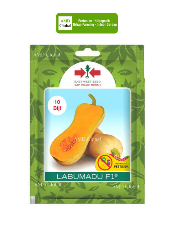 Benih Butternut Labu Madu F1 Squash Cap Panah Merah Isi 10 Biji ...