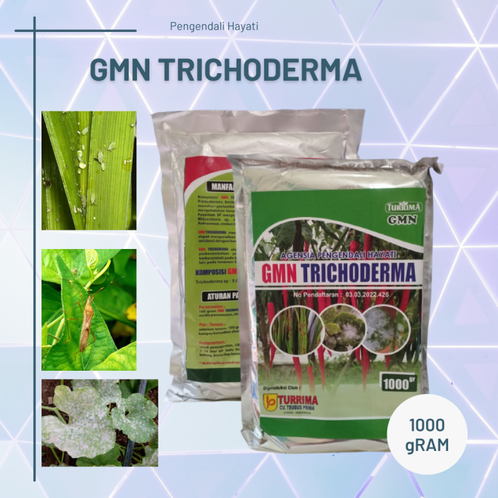 PUPUK HAYATI TRICHODERMA, MENGATASI LAYU FUSARIUM BUSUK BUAH BATANG ...