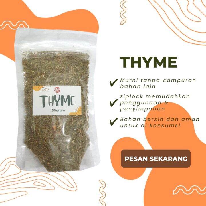 Daun Thyme Dried Thyme Leaf | Lazada Indonesia
