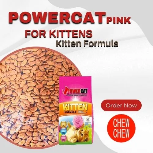 POWERCAT PINK for Kittens - Kitten Formula | Lazada PH
