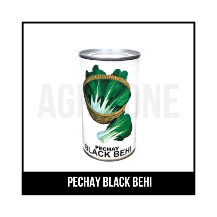 Condor Seeds Pechay Black Behi in can | Lazada PH