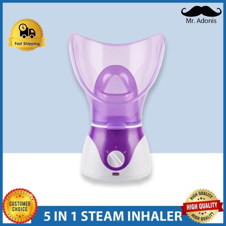 5 in 1 Steam Inhaler Steamer for Inhalation Hot Mist Facial Sauna ...