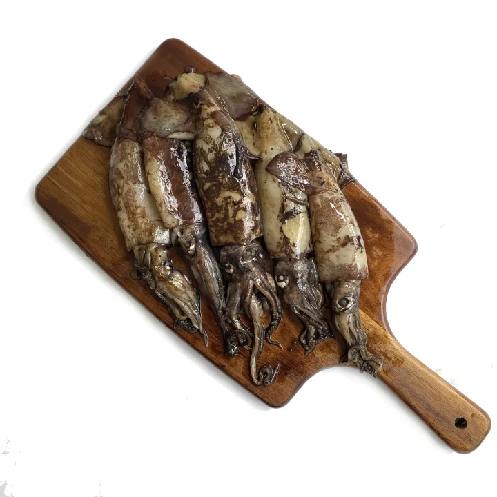 Savvys Pusit Kalawang - Brown Squid 500g | Lazada PH