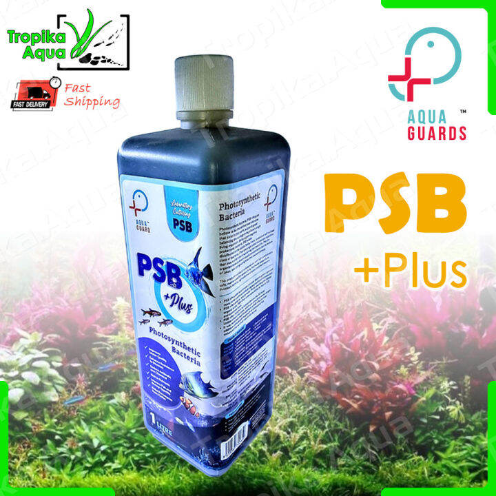 Aqua Guard PSB +Plus Photosynthetic Bacteria - aquarium PSB 1 little | Lazada